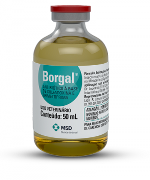 BORGAL® | Produtos Veterinários MSD Saúde Animal Brasil
