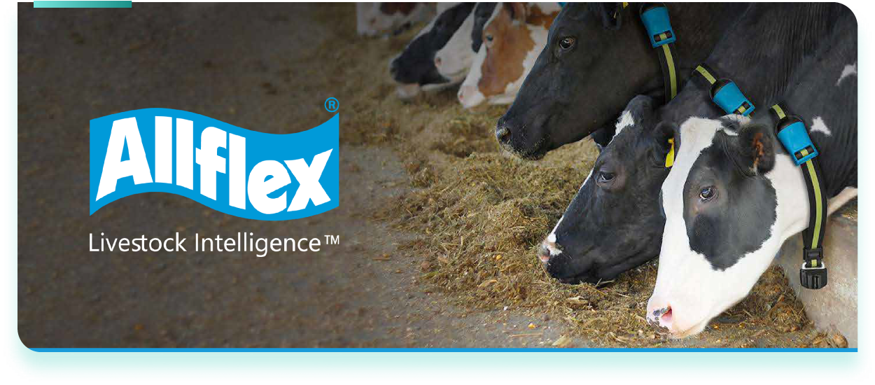 Allflex - MSD Saúde Animal Brasil