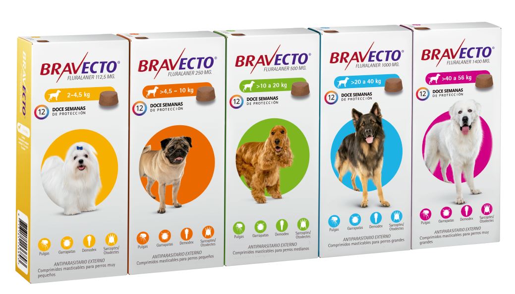 Bravecto: un producto que revoluciona el mercado - MSD Saúde Animal Brasil