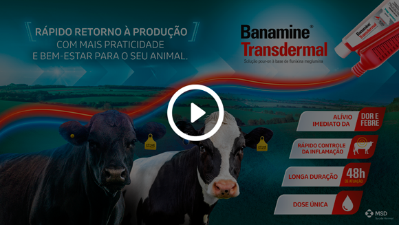 BANAMINE® TRANSDERMAL - MSD Saúde Animal Brasil
