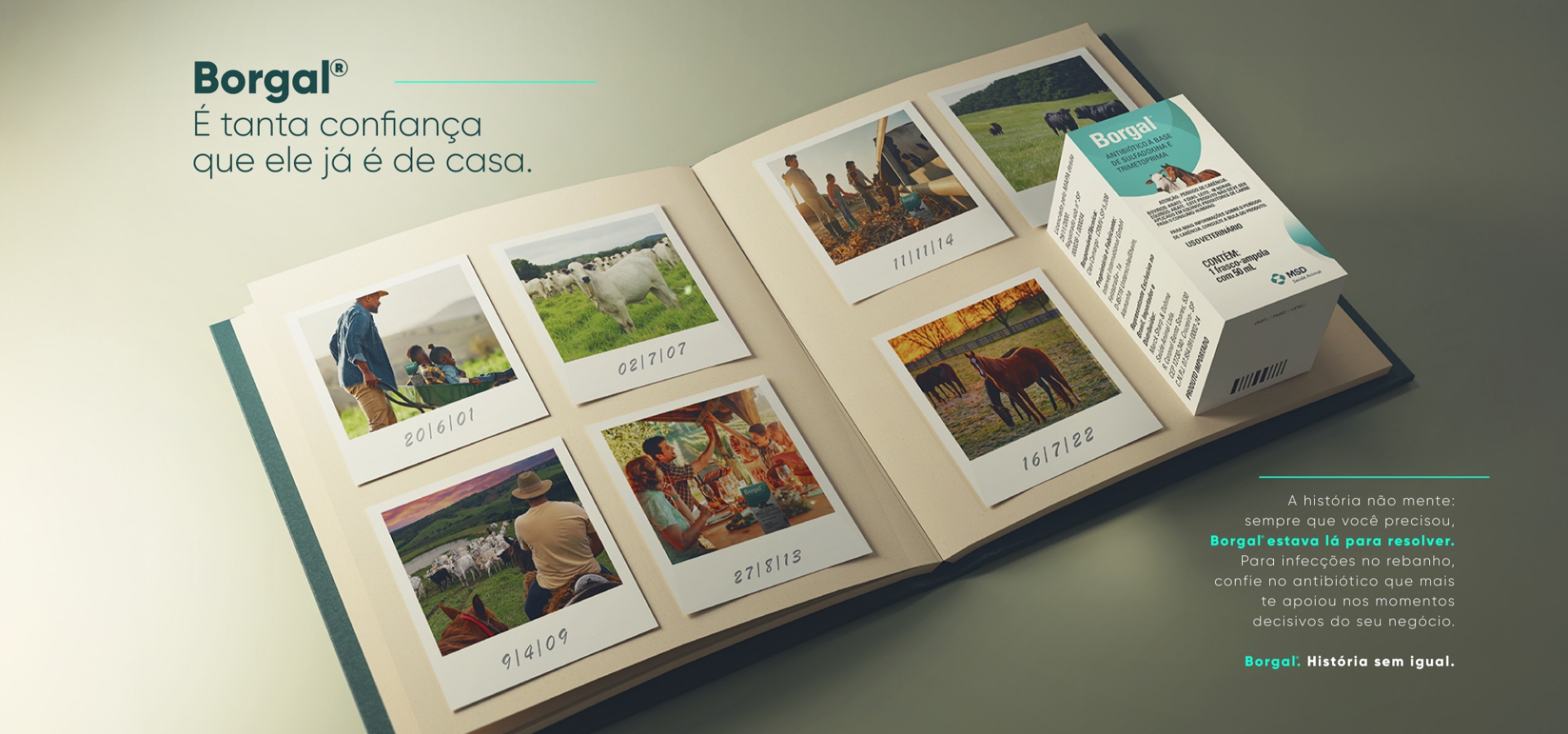 Borgal - MSD Saúde Animal Brasil